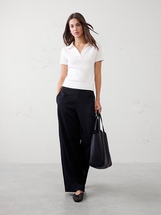 Ribbed Sweater Polo | Banana Republic Factory